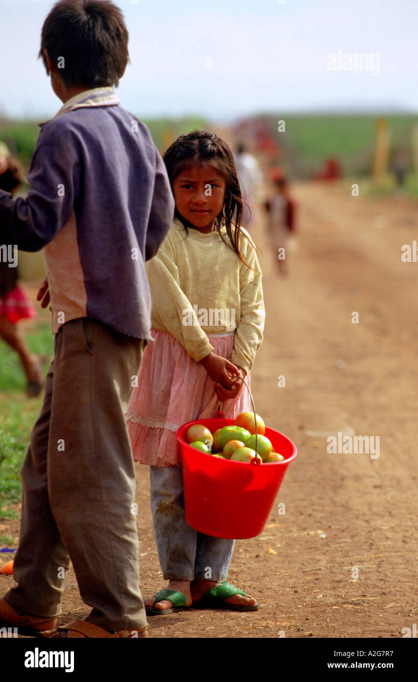 Mexico, Sinaloa, Tayolita-Elota, North America. Indigenous families ...