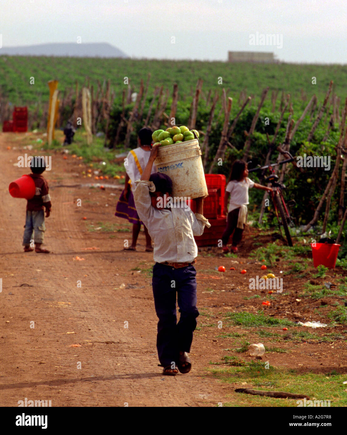 Mexico, Sinaloa, Tayolita-Elota, North America. Indigenous families ...
