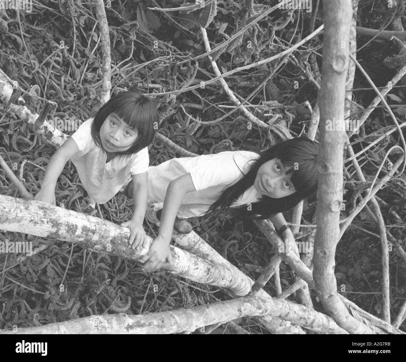 Lacandona jungle hi-res stock photography and images - Alamy