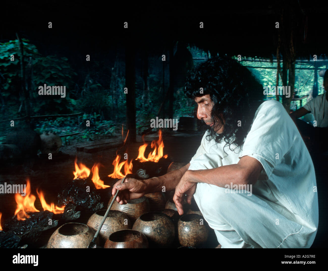 North America, Mexico, Chiapas, Naha, Selva Lacandona. The last ...