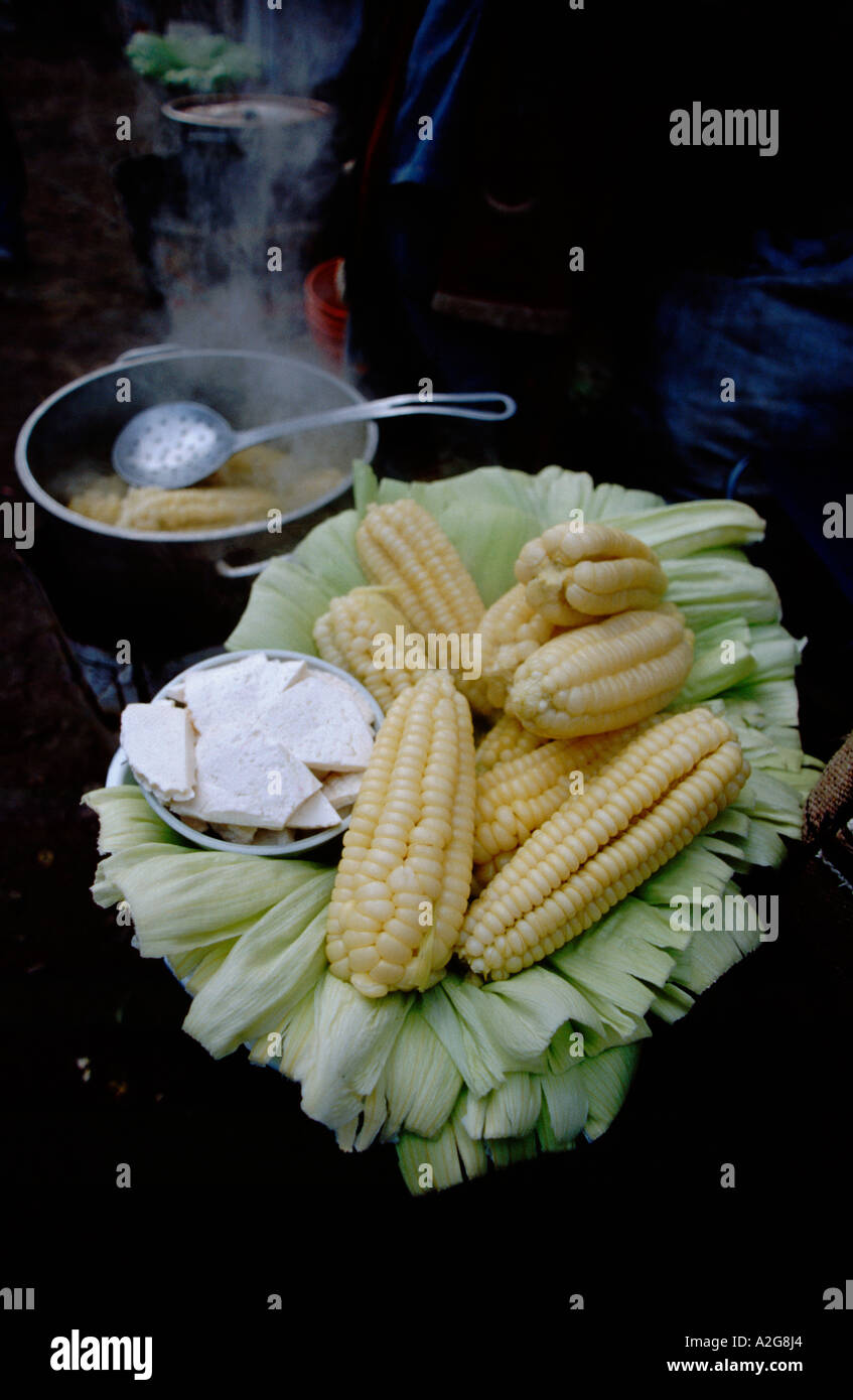 Peru, Ollantaytambo, Choclo (corn on the cob) with local cheese Stock ...