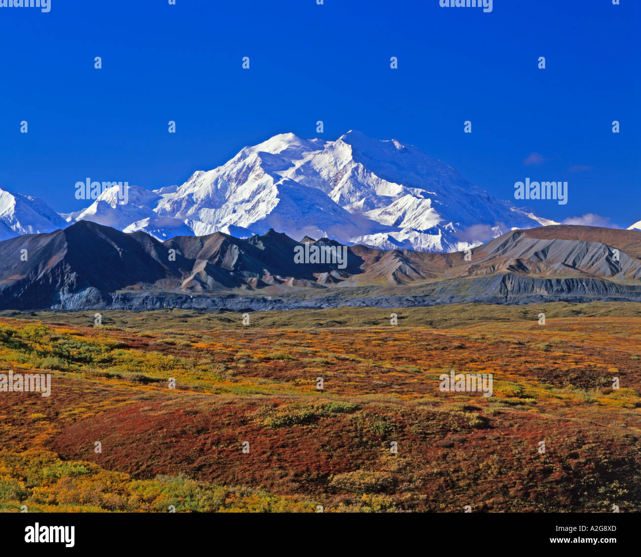 Madison mckinley hi-res stock photography and images - Alamy