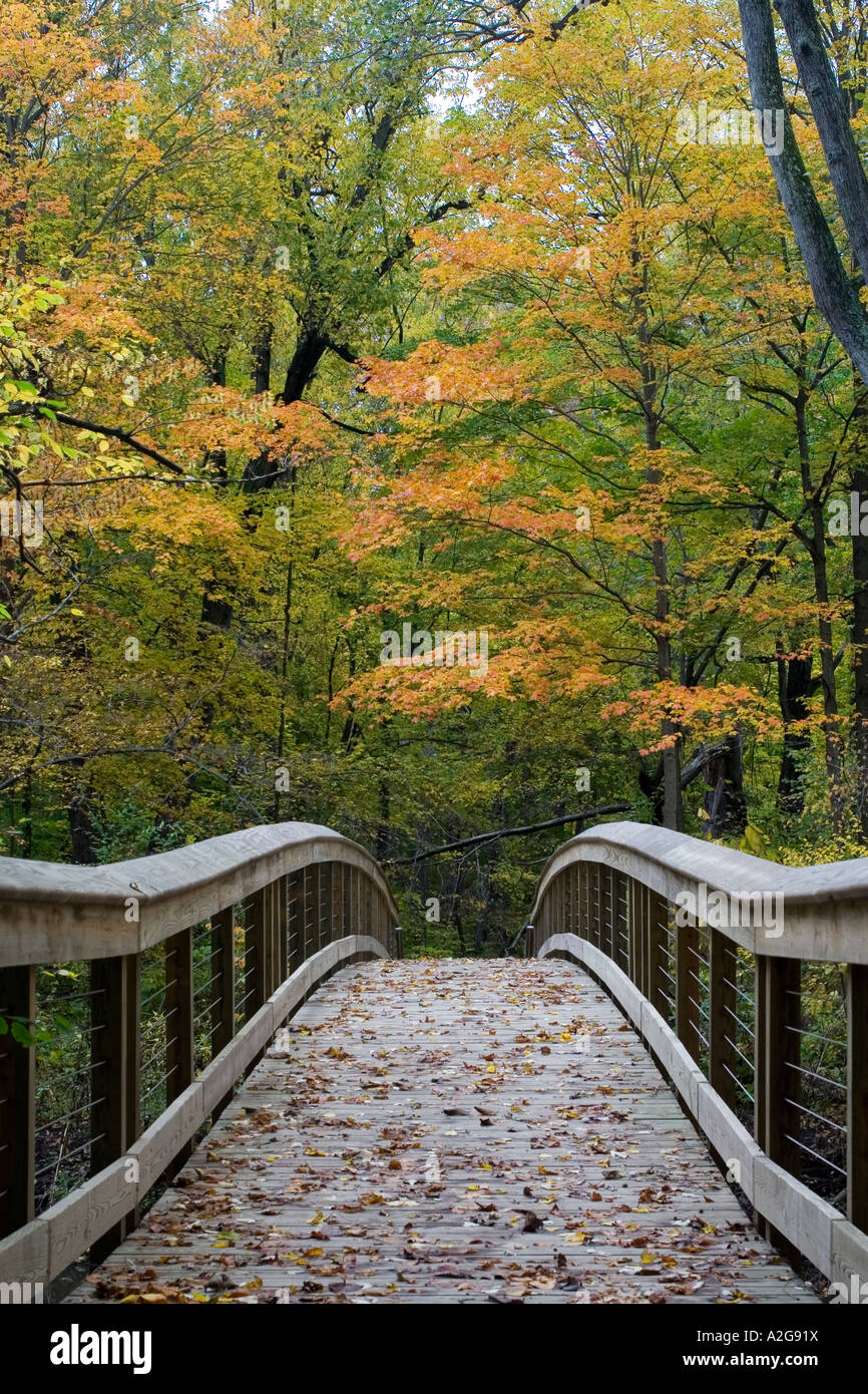 Michigan state park red tree hi-res stock photography and images - Alamy