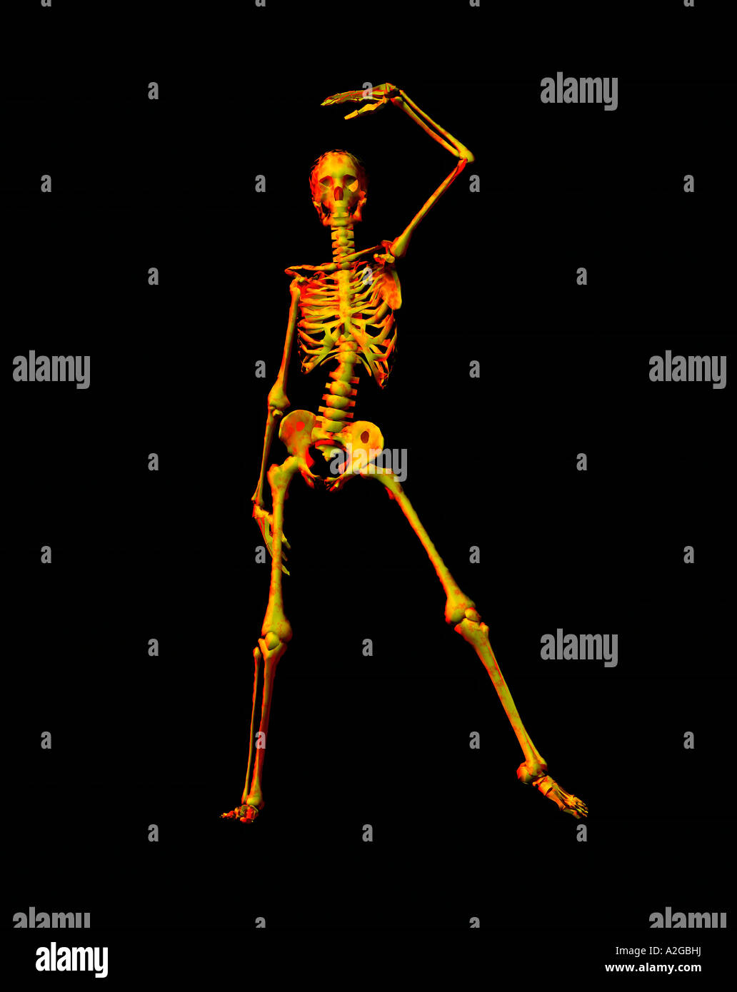 Skeleton body bones pose hi-res stock photography and images - Alamy