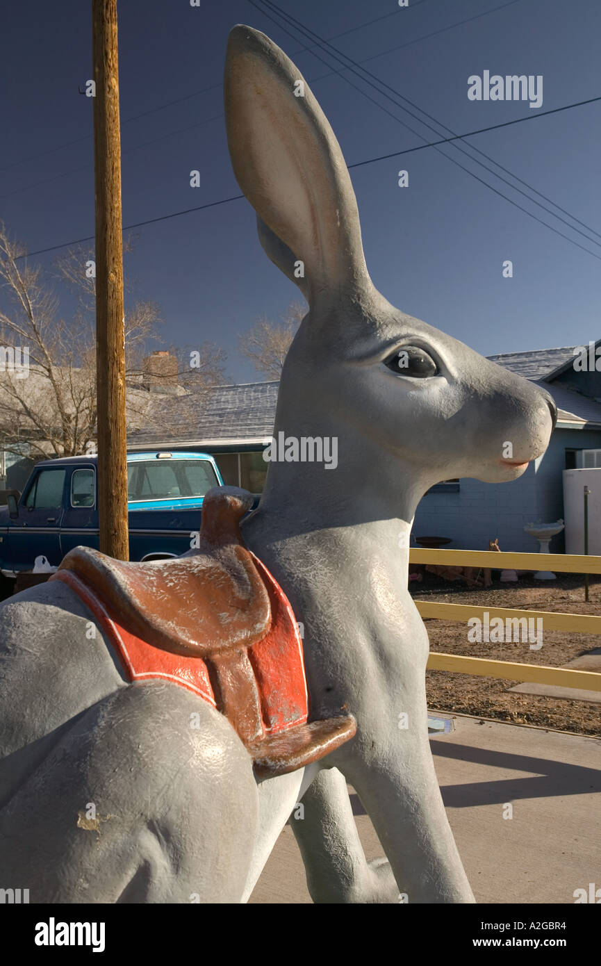 Arizona jackrabbit hi-res stock photography and images - Alamy