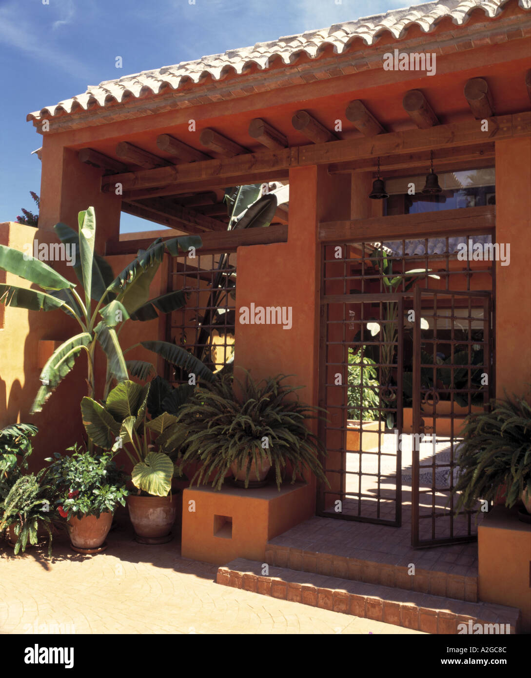 Cacti and green plants in pots beside iron security doors to Spanish ...
