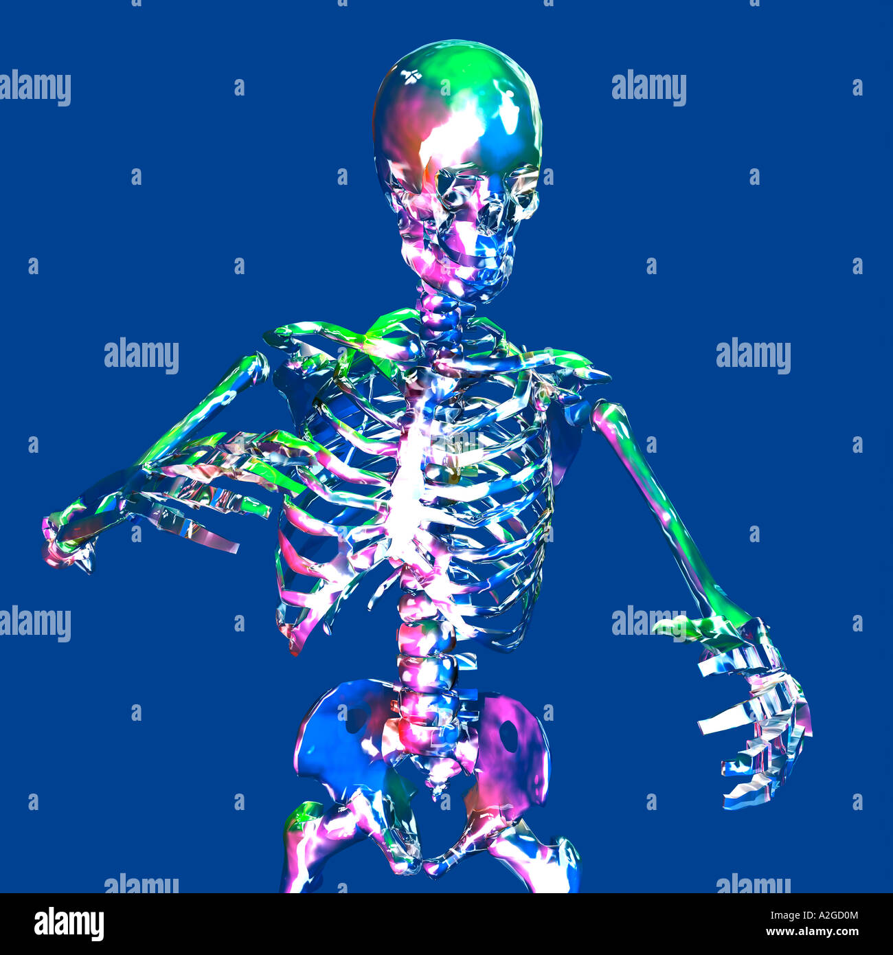 Transparent skeleton hi-res stock photography and images - Alamy