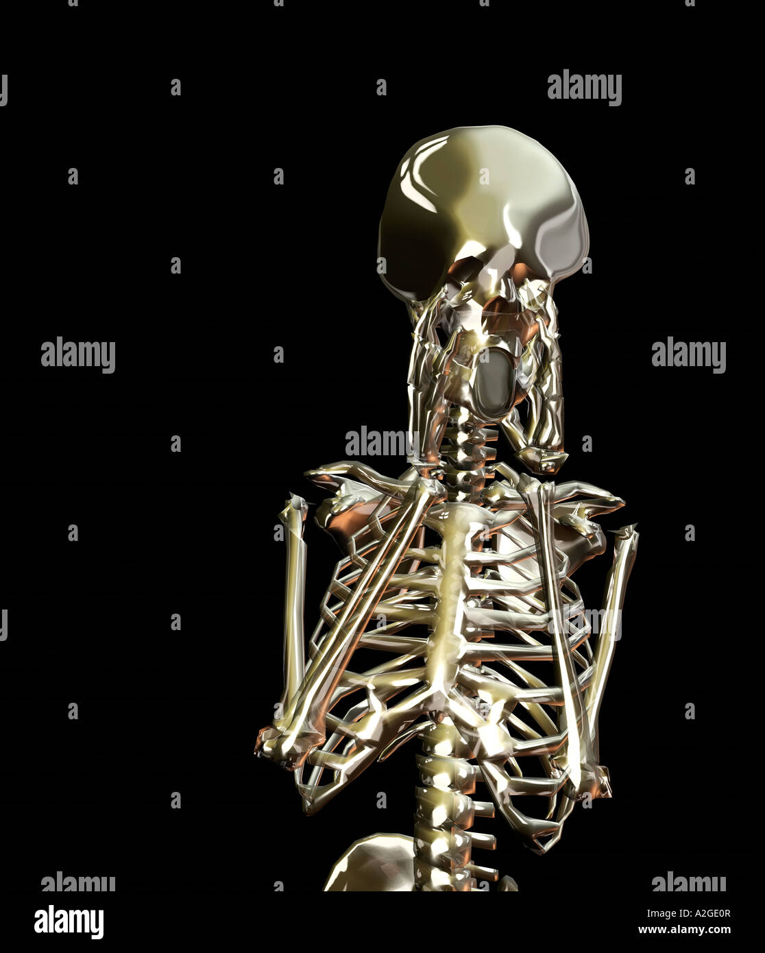 Anatomy of bones hi-res stock photography and images - Alamy
