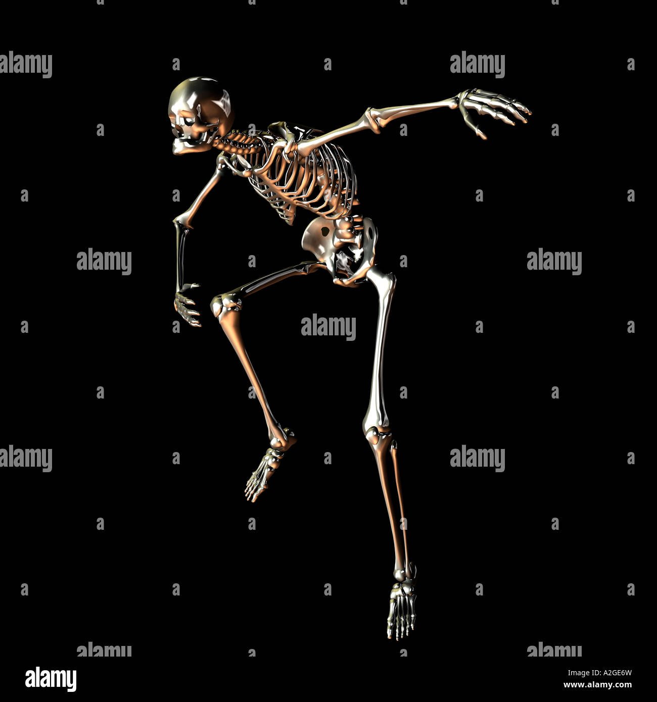 Skeleton frame hi-res stock photography and images - Alamy