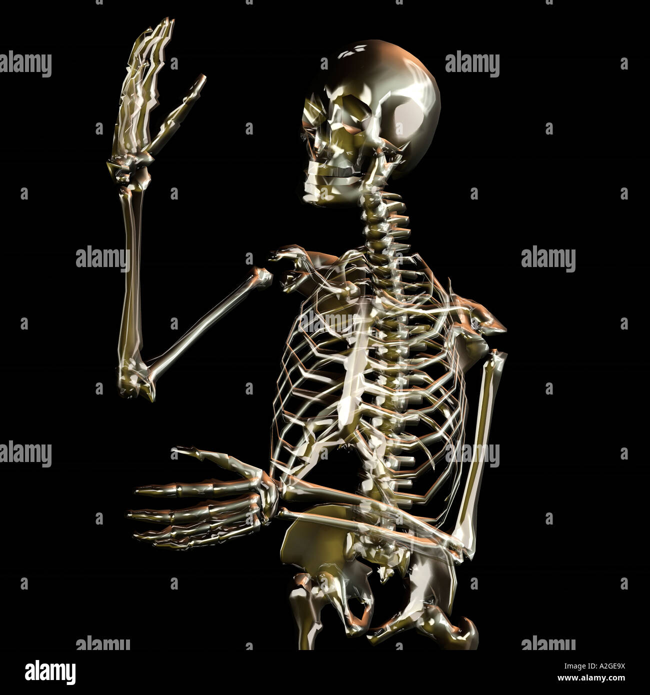 Skeleton glass hi-res stock photography and images - Alamy