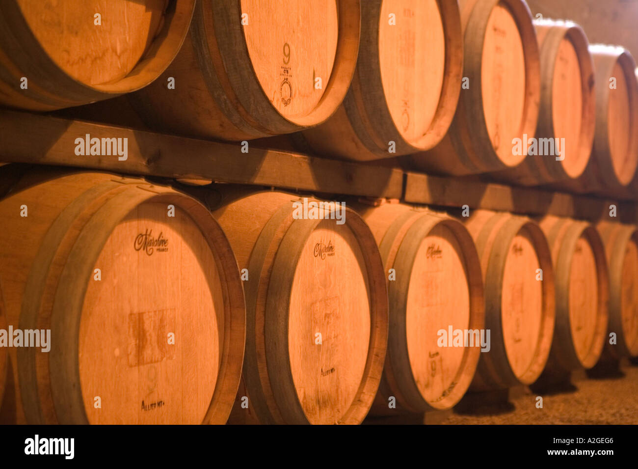 USA, California, Napa Valley, Rutherford: Niebaum, Coppola Estate ...