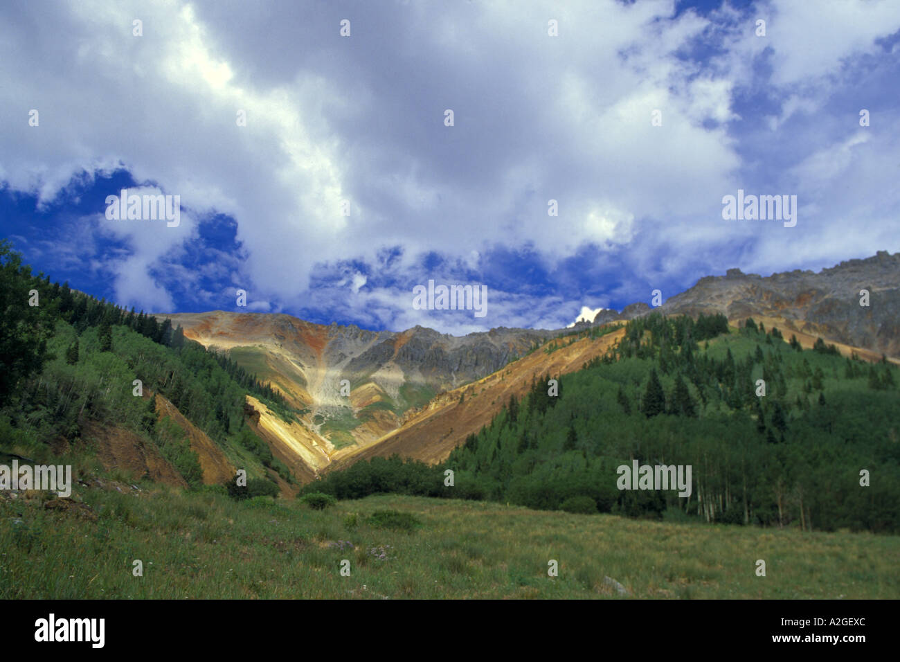 Mount Sneffels Education Foundation - Career Education