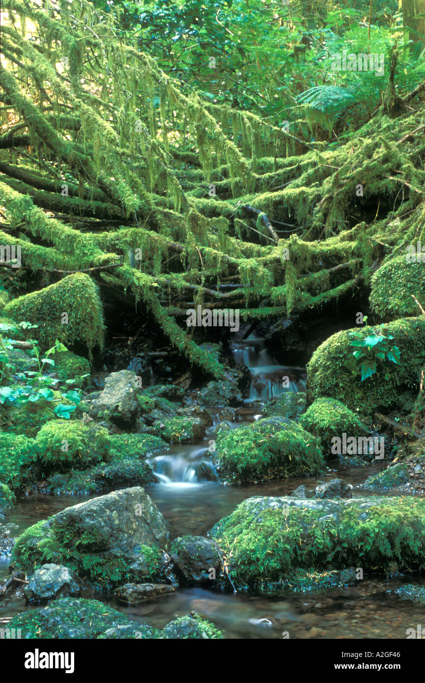 Humbug mountain oregon hi-res stock photography and images - Alamy
