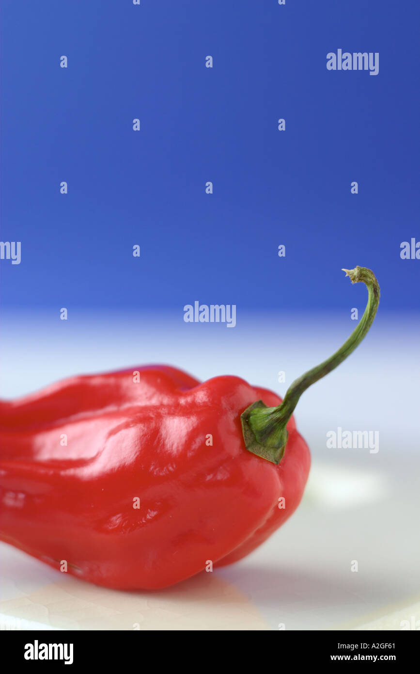 Taste of jamaica hi-res stock photography and images - Alamy