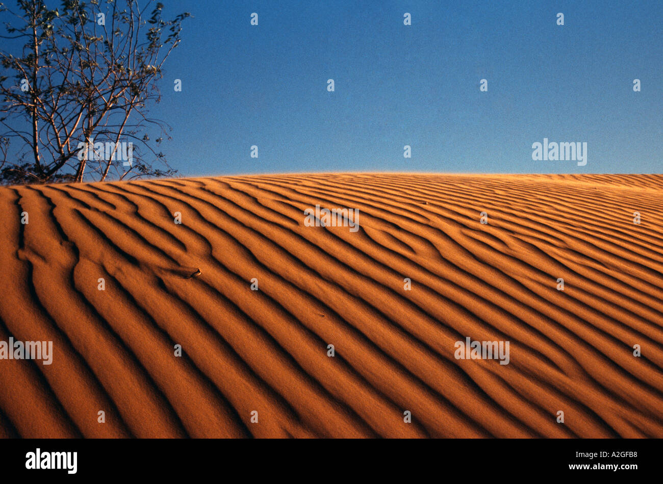 Perry Sand Hills, New South Wales, Australia Stock Photo - Alamy