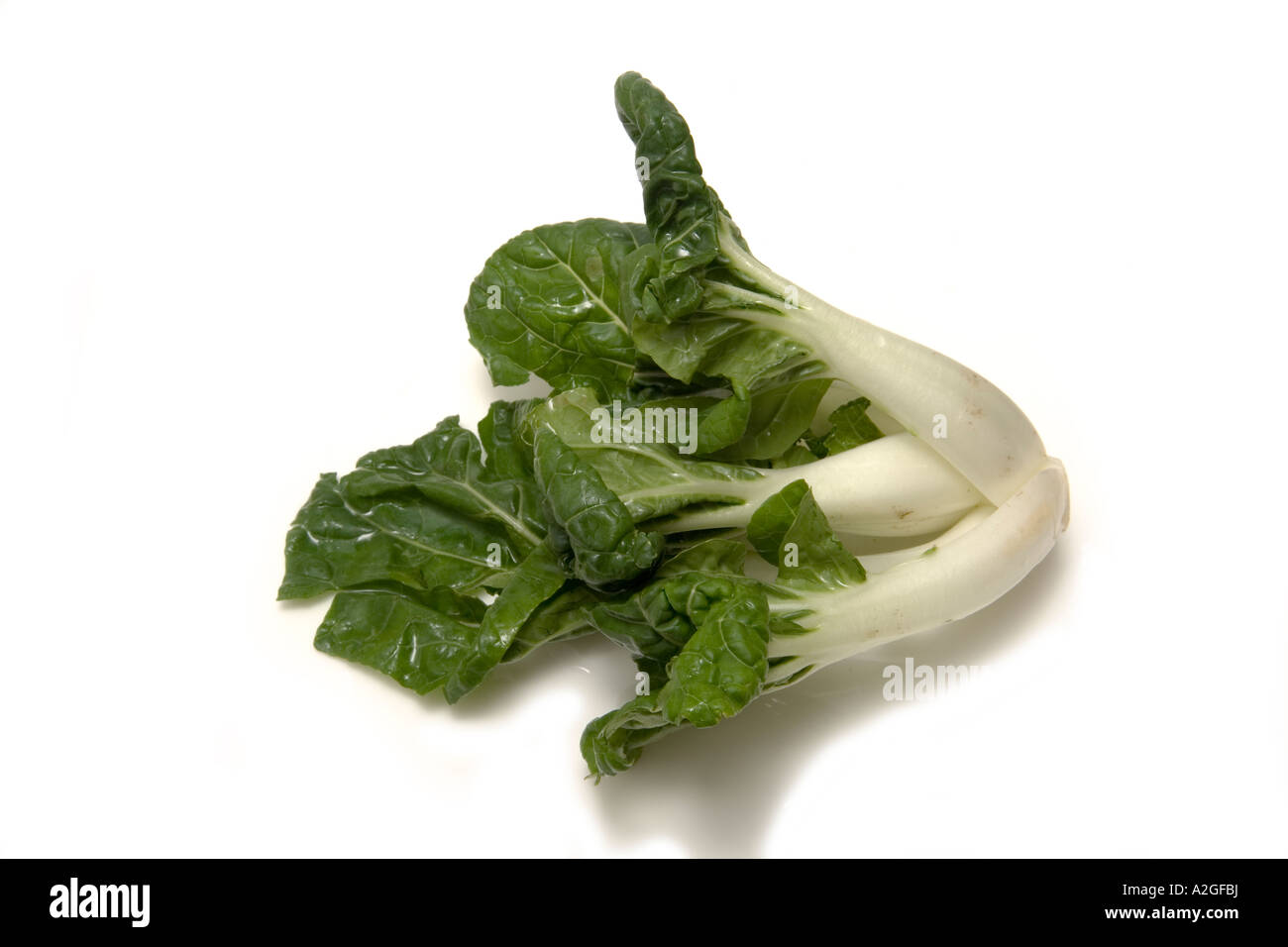 Pak Choi isolated on a white studio background Stock Photo - Alamy