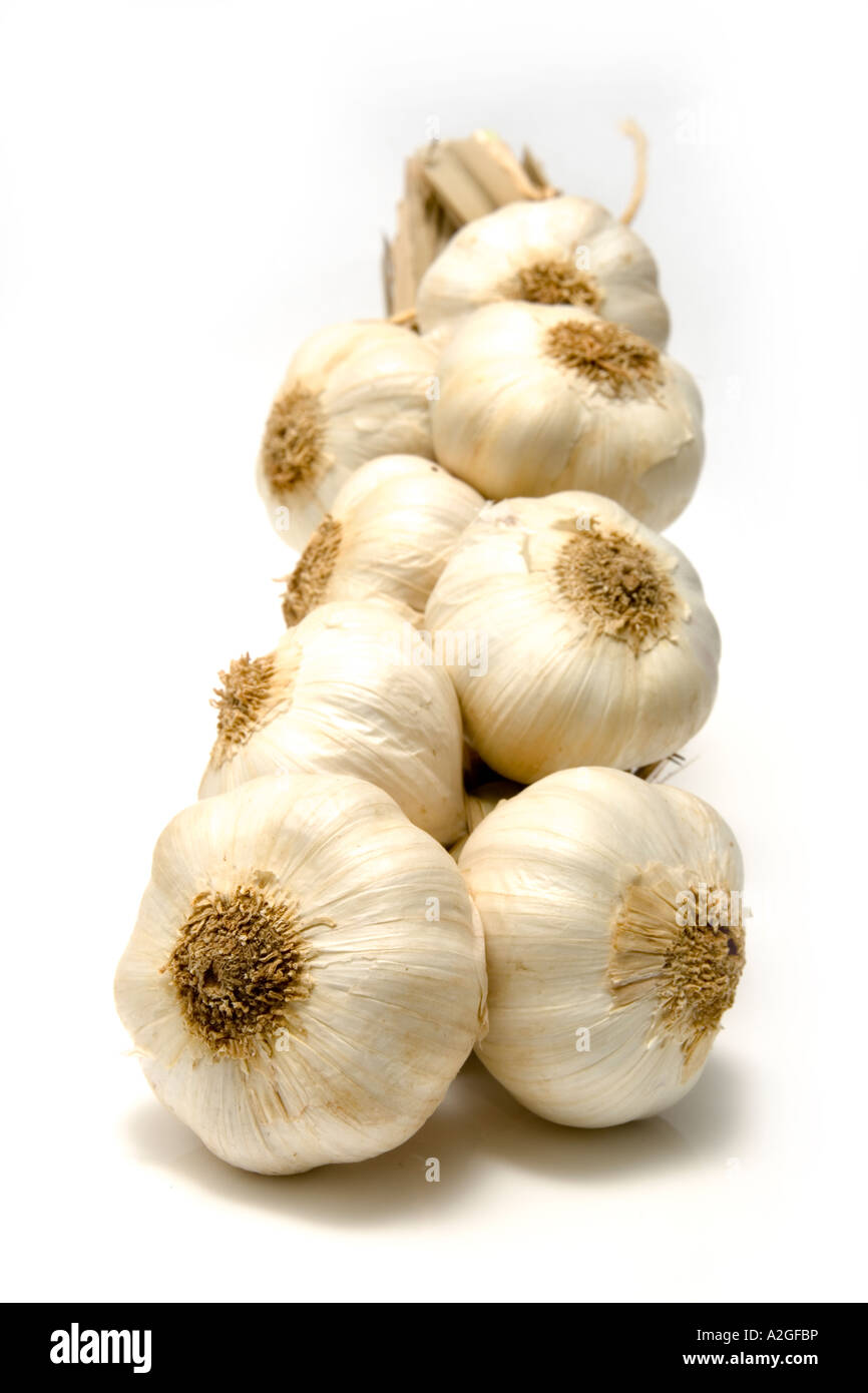 String of garlic isolated on a white studio background Stock Photo - Alamy