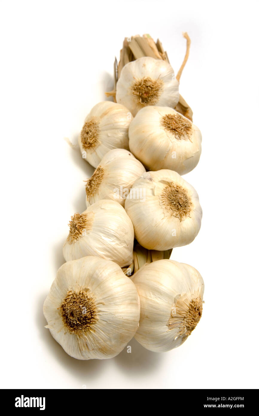 String of garlic bulbs isolated on a white studio background Stock ...