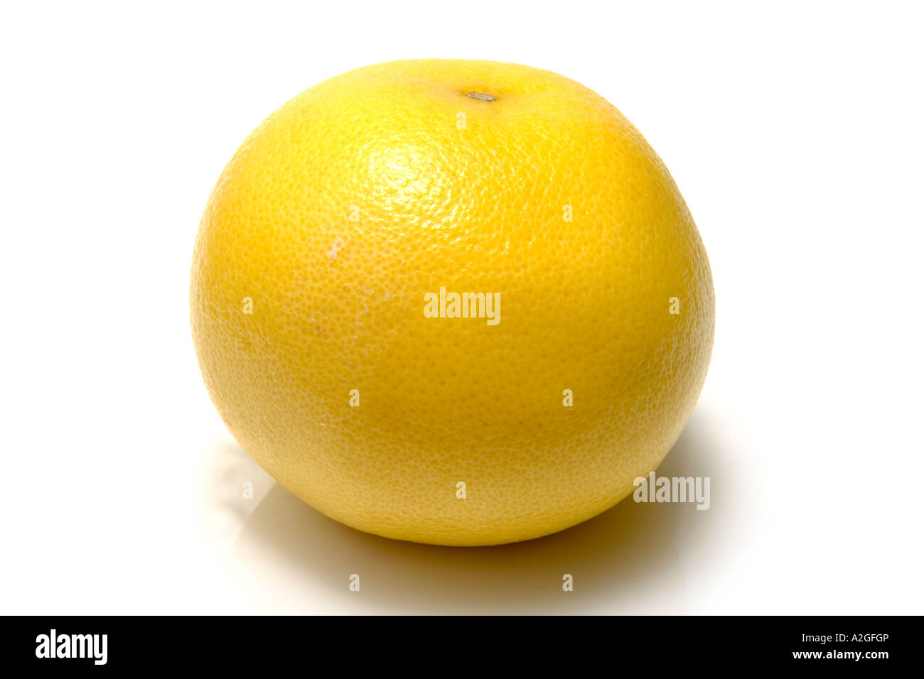 Grapefruit whole isolated on a white studio background Stock Photo - Alamy