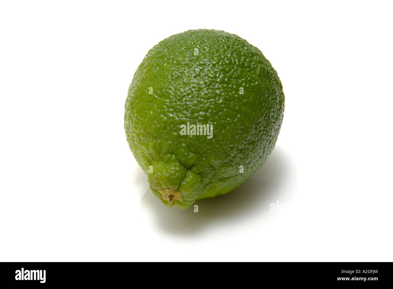 Lime whole isolated on a white studio background Stock Photo - Alamy