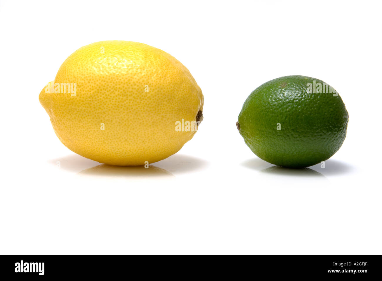 Lemon and lime whole isolated on a white studio background Stock Photo ...