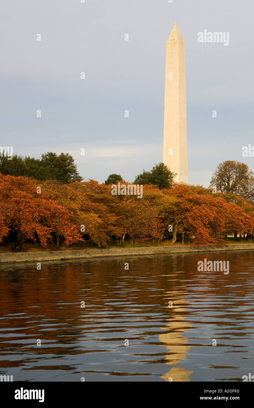 WASHINGTON, D.C. USA. Washington Monument rises above cherry trees in ...