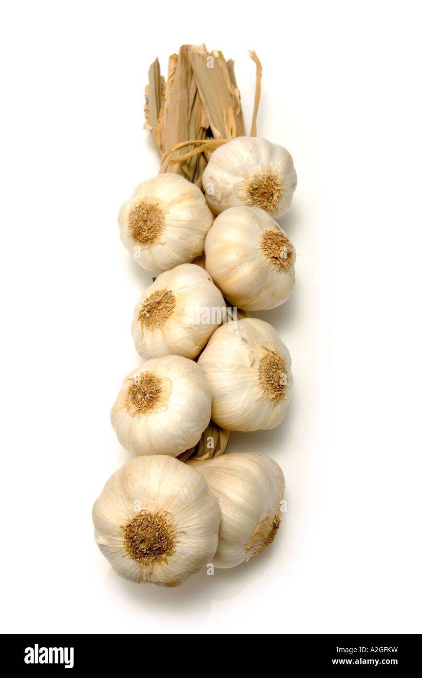 String of French garlic isolated on a white studio background Stock ...