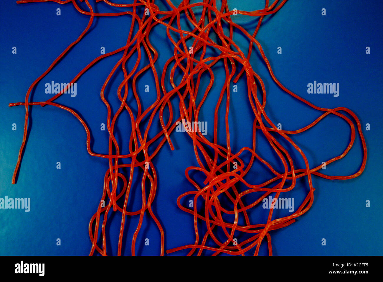 red spaghetti string Stock Photo - Alamy
