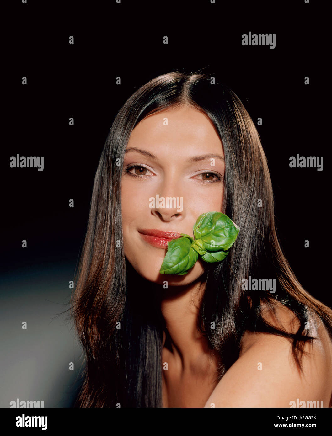 1216648 hi-res stock photography and images - Alamy