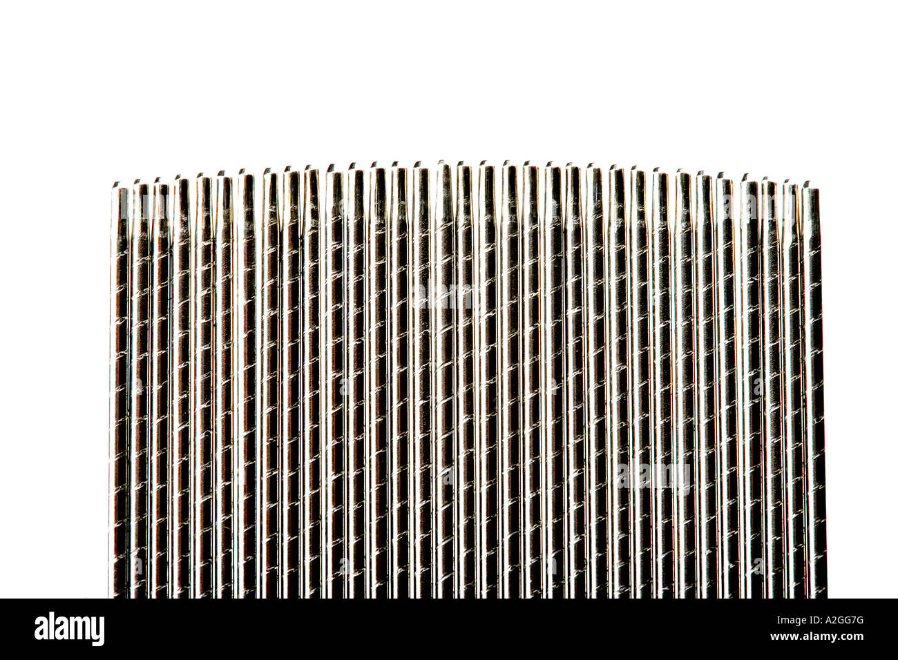 The nits hi-res stock photography and images - Alamy