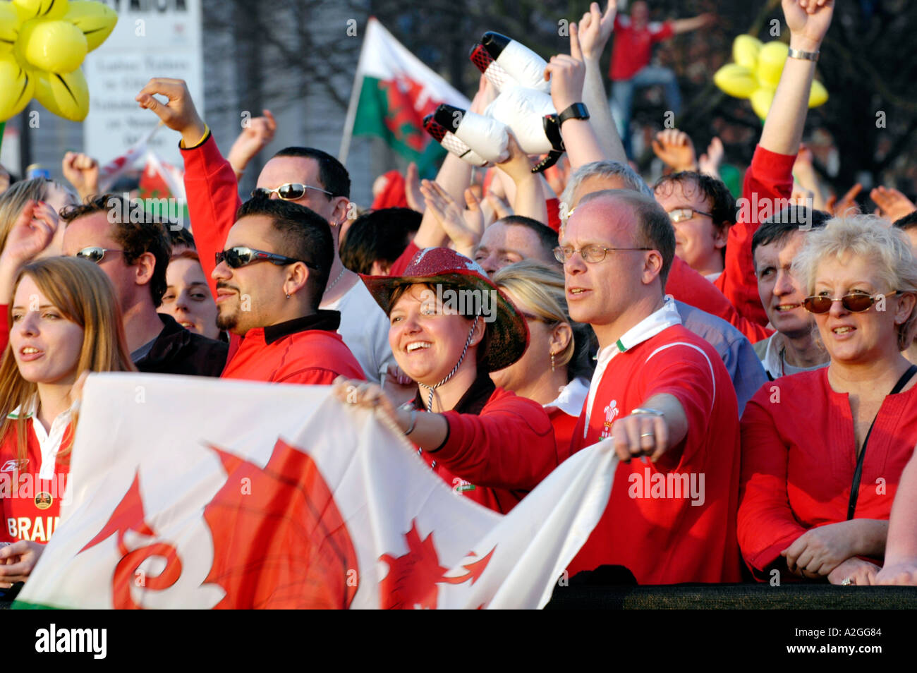 Female Lady Welsh Rugby Supporters High Resolution Stock Photography ...