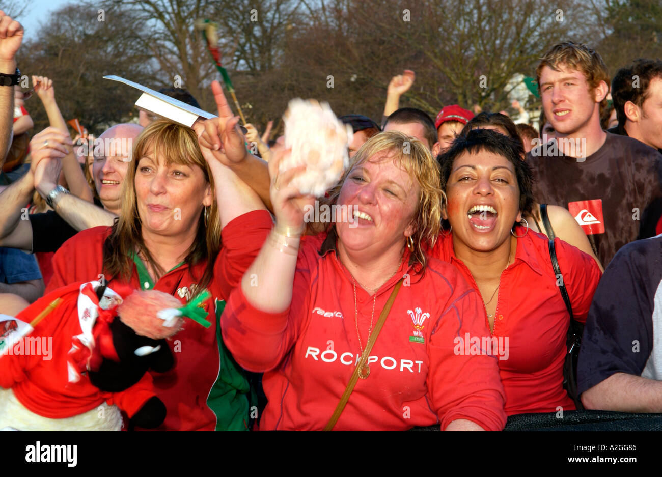 Female lady welsh rugby supporters hi-res stock photography and images ...