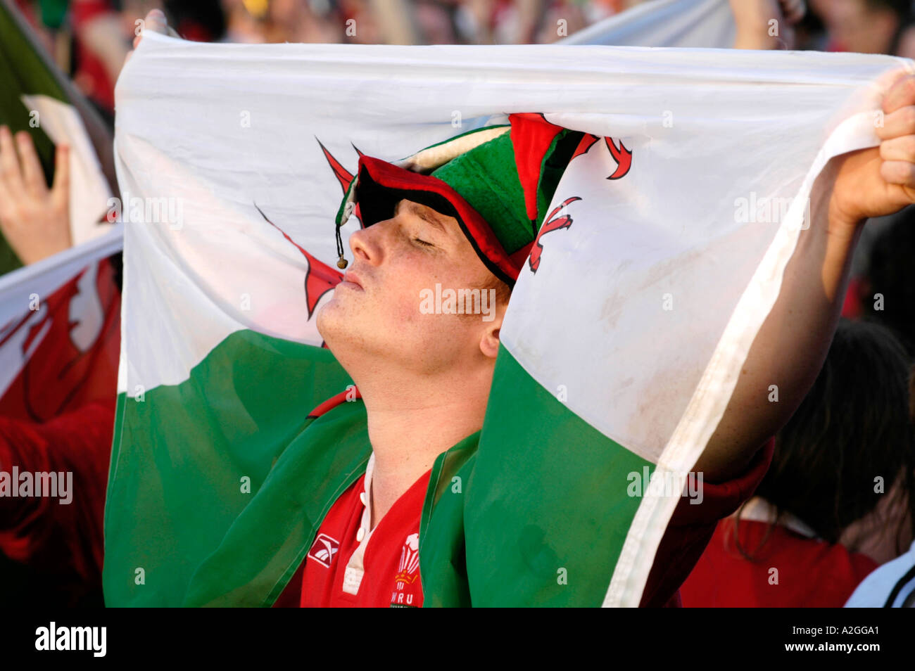 Passionate Welsh rugby fan wrapped in the national flag celebrating ...