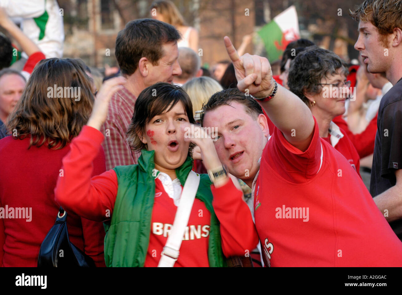 Female lady welsh rugby supporters hi-res stock photography and images ...