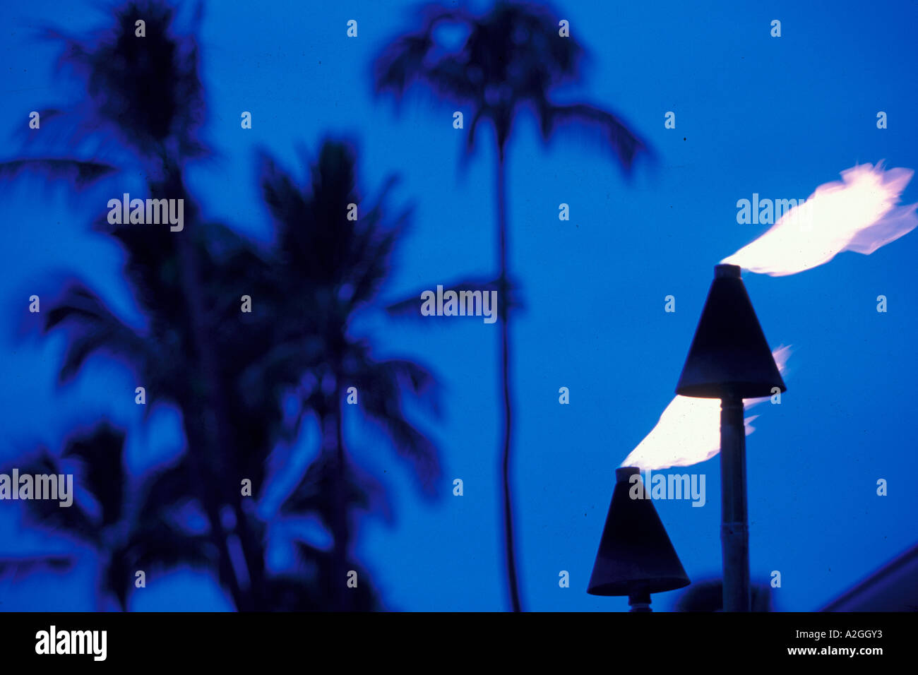 Hawaii Torches and palm trees Stock Photo - Alamy