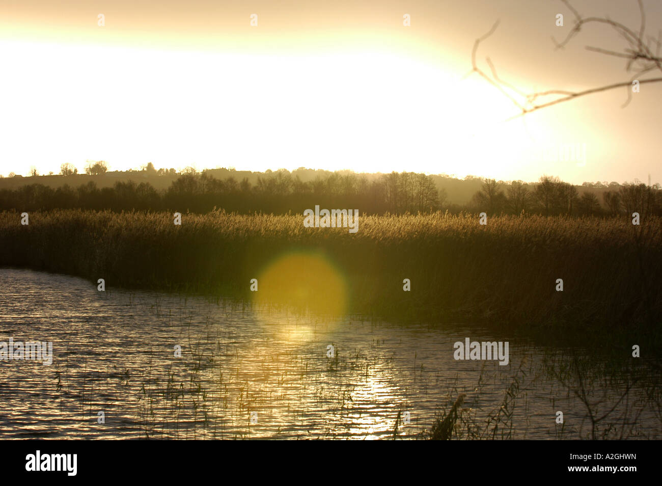 Rspb ham wall nature reserve hi-res stock photography and images - Alamy