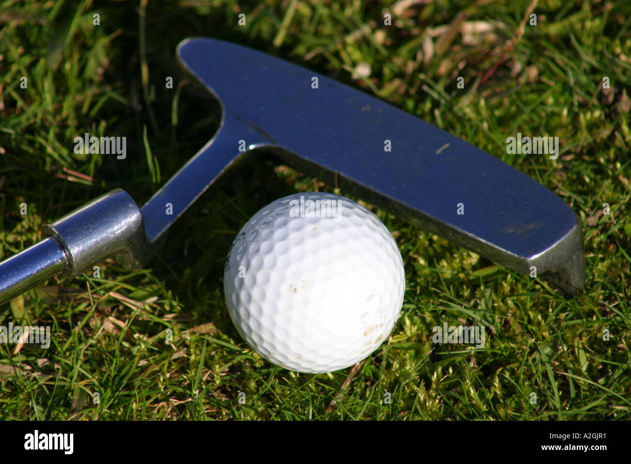 Golf Ball and Putter Stock Photo - Alamy