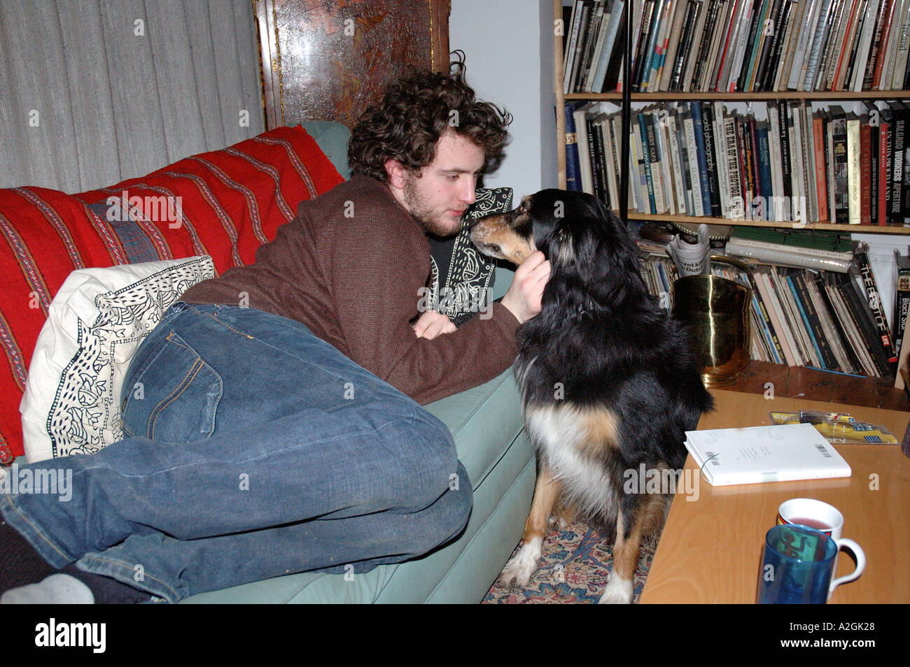 Young man at home with pet border collie Stock Photo - Alamy