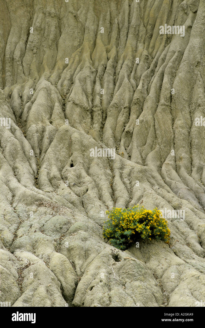 Big muddy badlands hi-res stock photography and images - Alamy