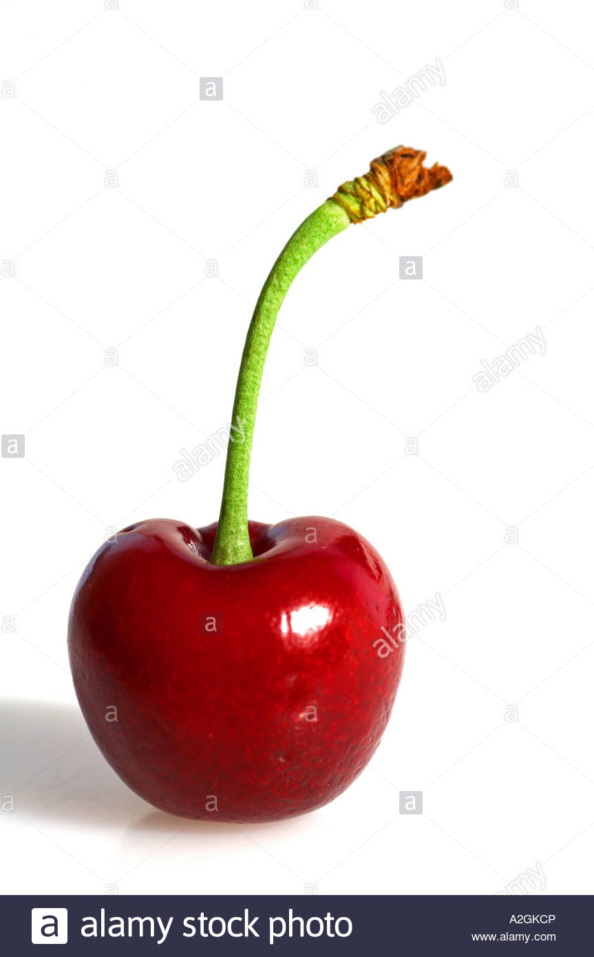 Scarlet coloured Cut Out Stock Images & Pictures - Alamy