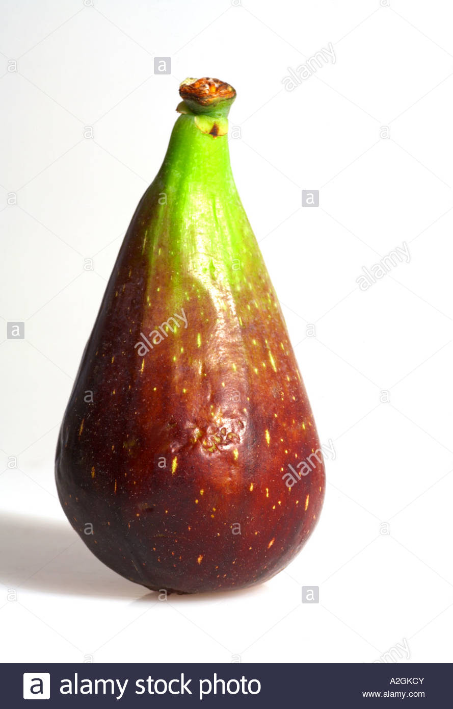 Fig skin hi-res stock photography and images - Alamy