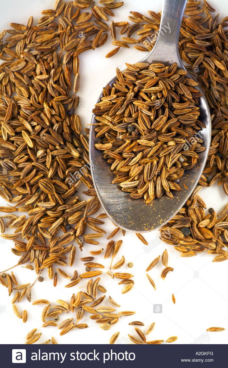 Carum carvi dry hi-res stock photography and images - Alamy