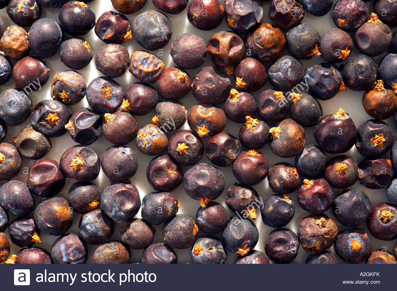 Dried juniper berries Stock Photo - Alamy