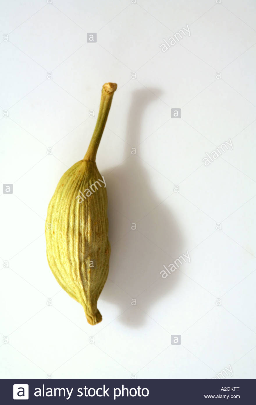 Single cardamom pod hi-res stock photography and images - Alamy