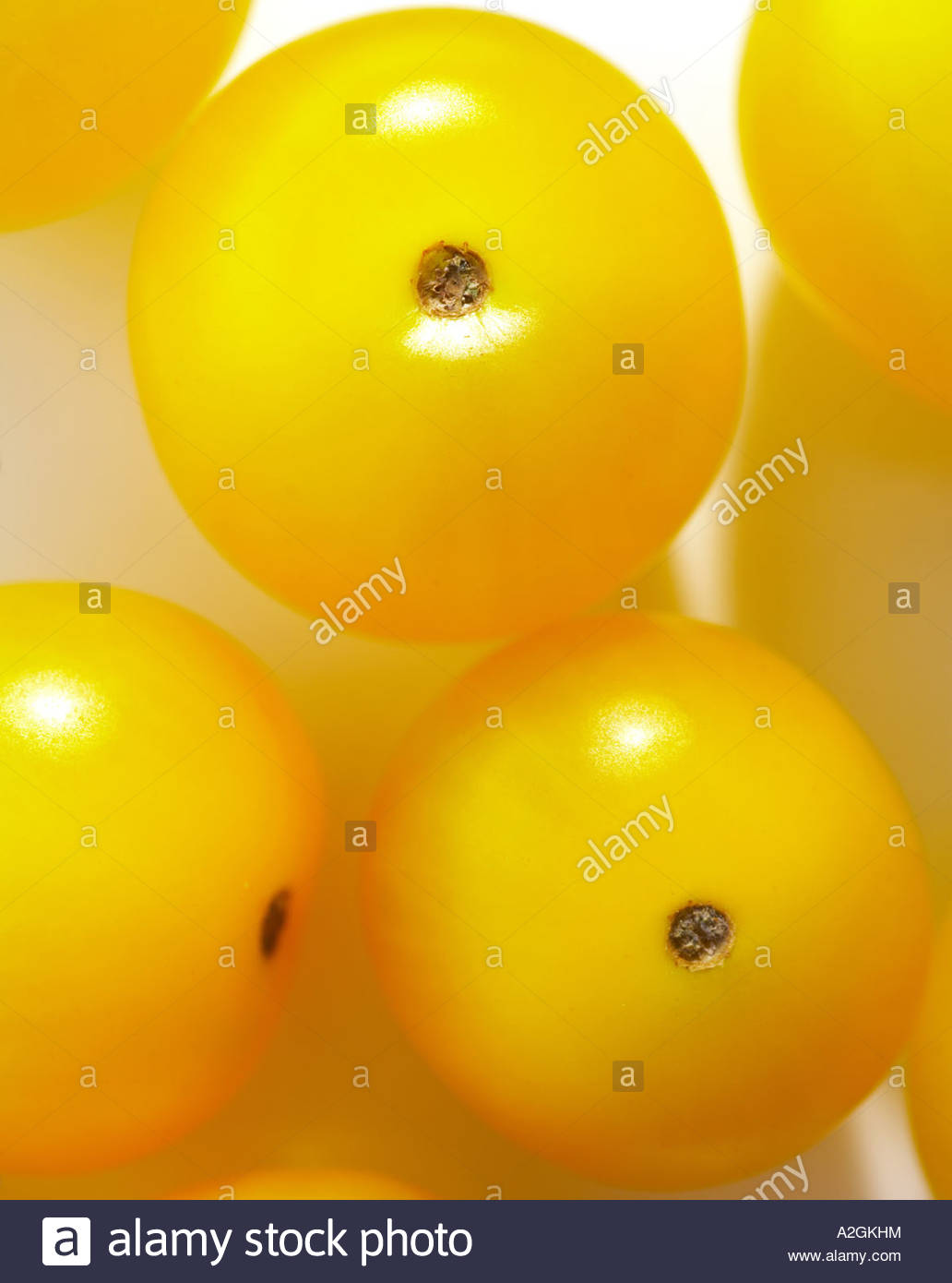Yellow cherry tomato Stock Photo - Alamy