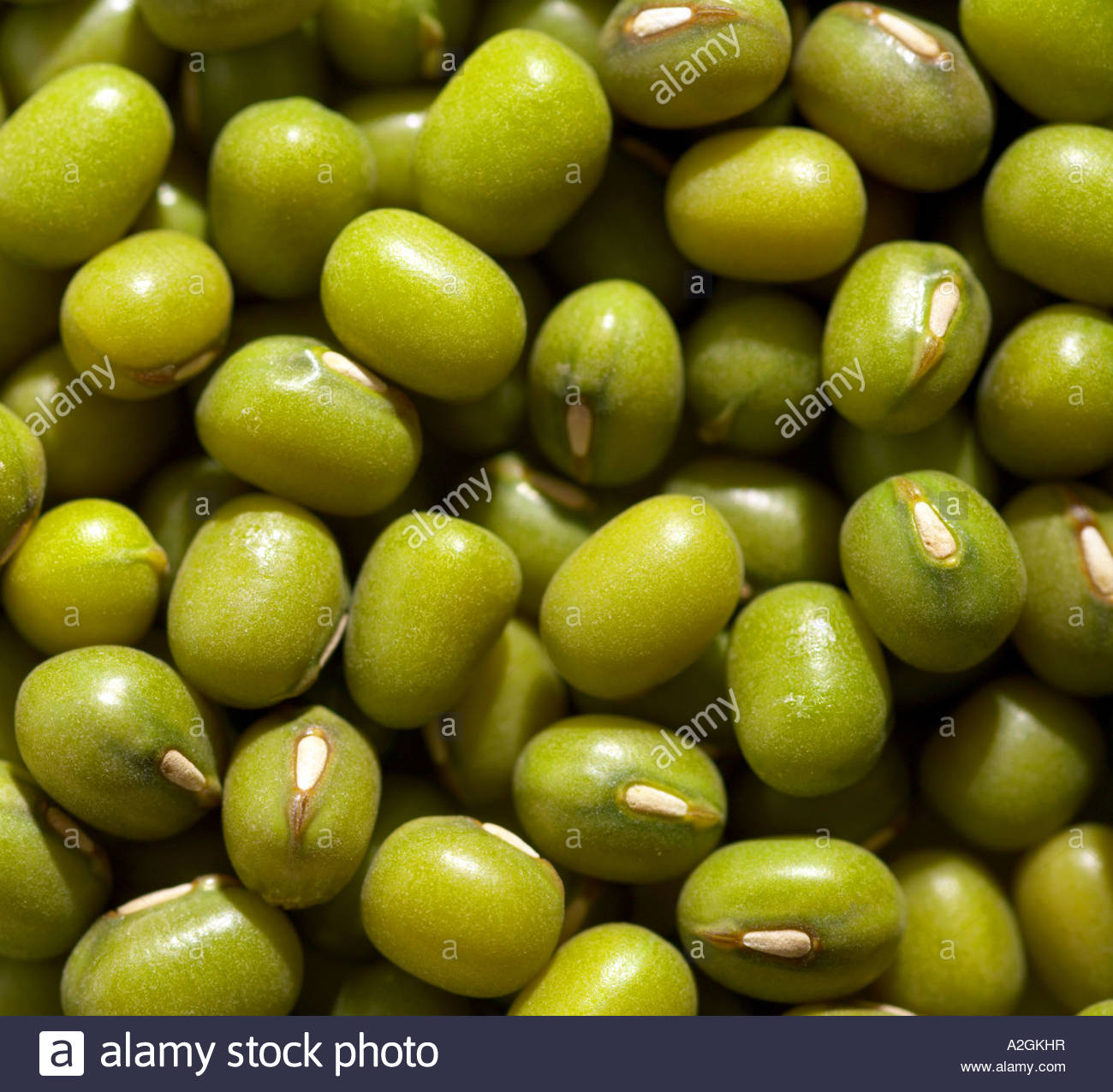 Green mung beans Stock Photo - Alamy