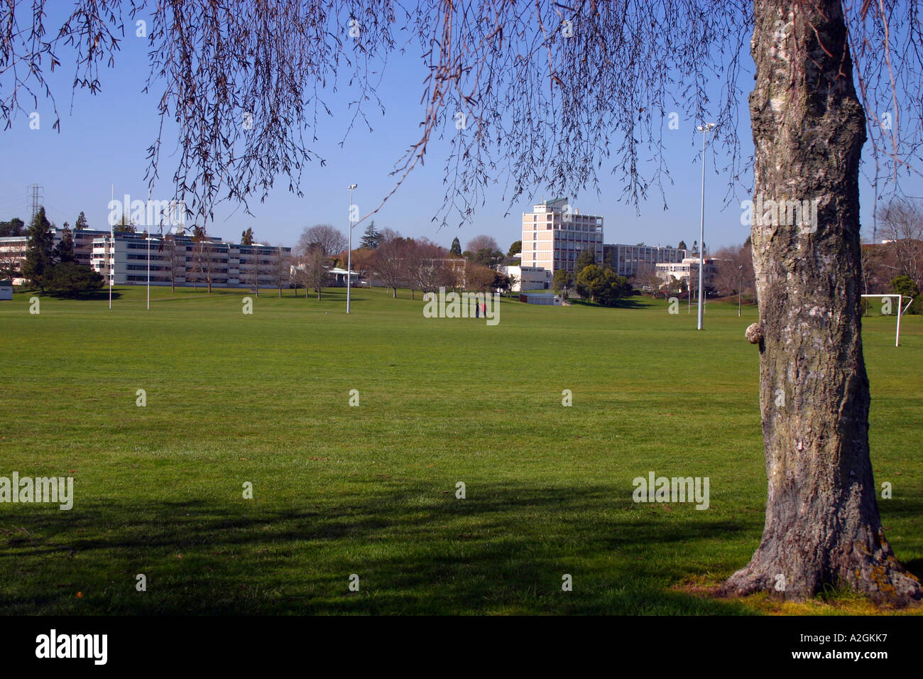 University of waikato hi-res stock photography and images - Alamy
