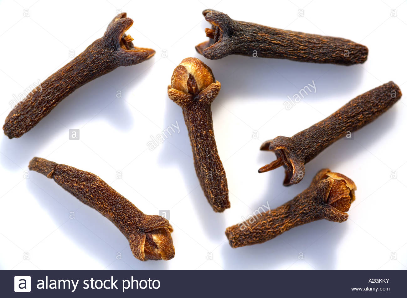 Spice syzygium hi-res stock photography and images - Alamy