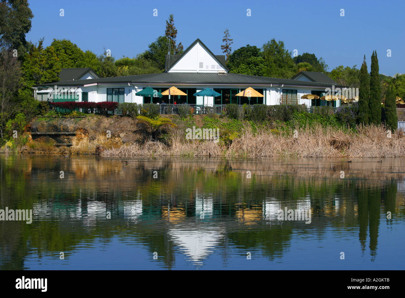 Turtle Lake, Hamilton Gardens, Hamilton, New Zealand Stock Photo - Alamy