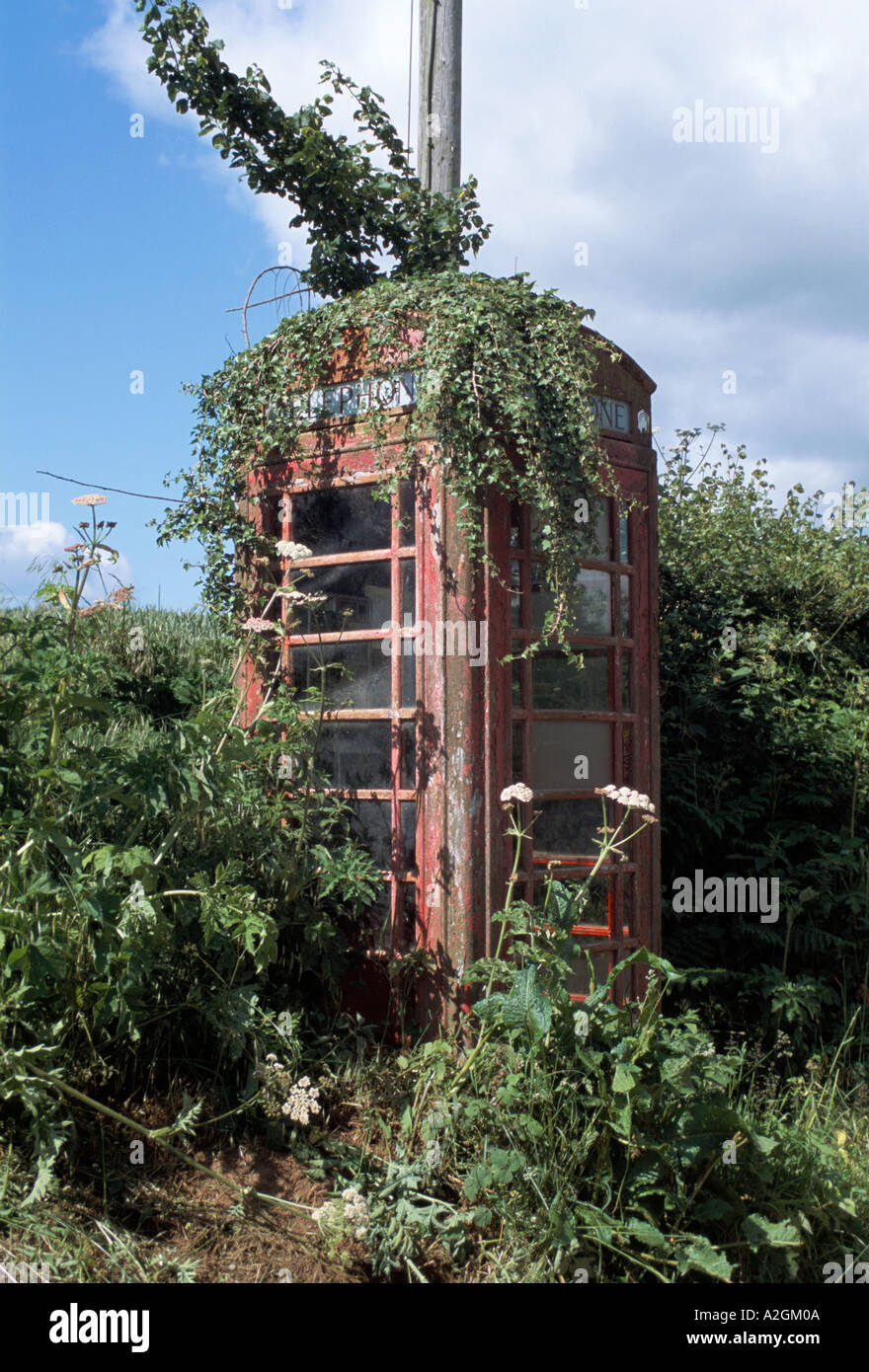 Phonebox overgrown hi-res stock photography and images - Alamy
